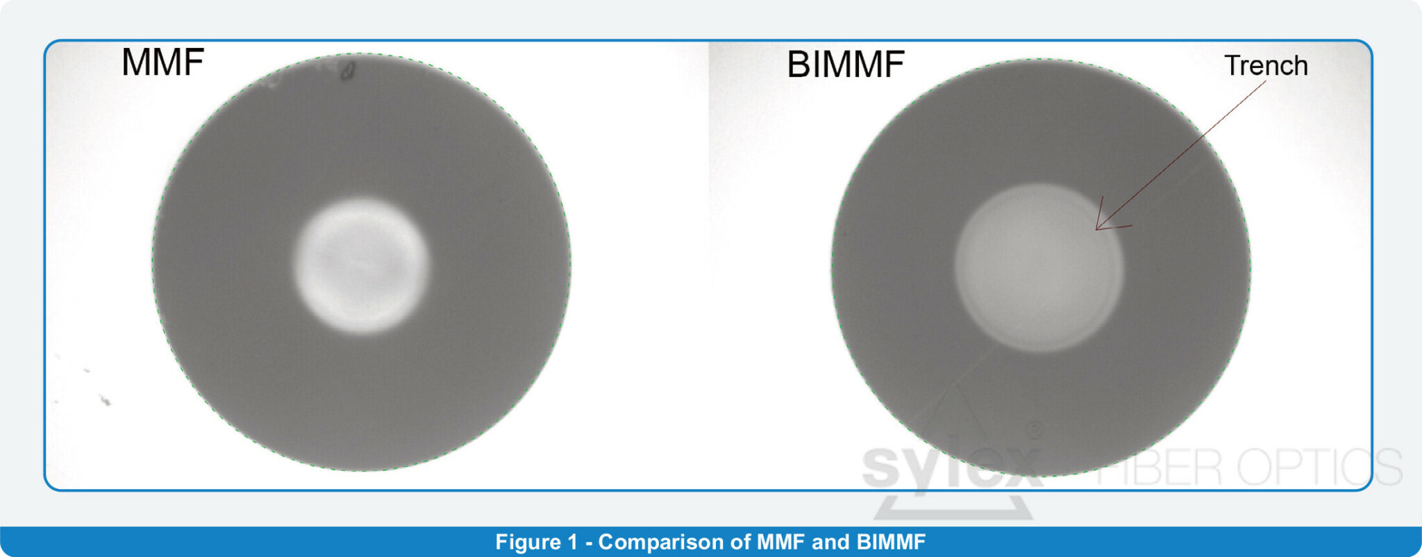 MMF or BIMMF alias legacy fibre vs. bend-insensitive fibre in master ...